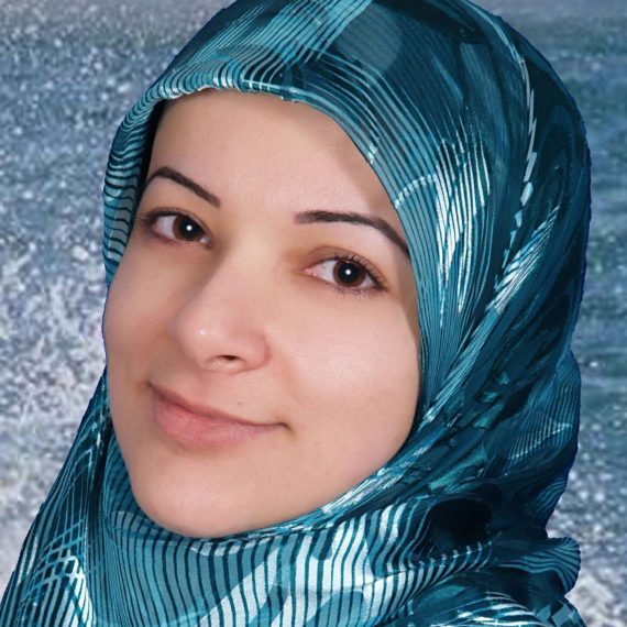 Svetlana Mintova - Laboratoire Catalyse & Spectrochimie